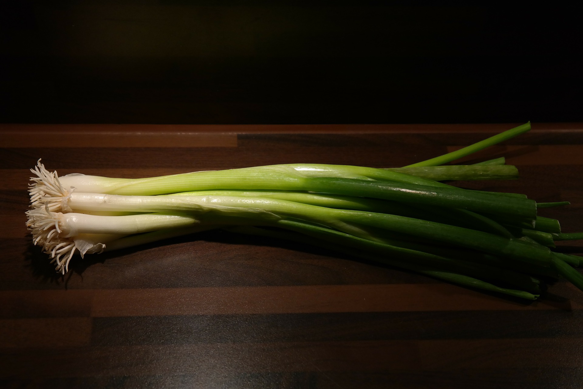 Japanese-style scallion / spring onion skewers – The Martini Socialist