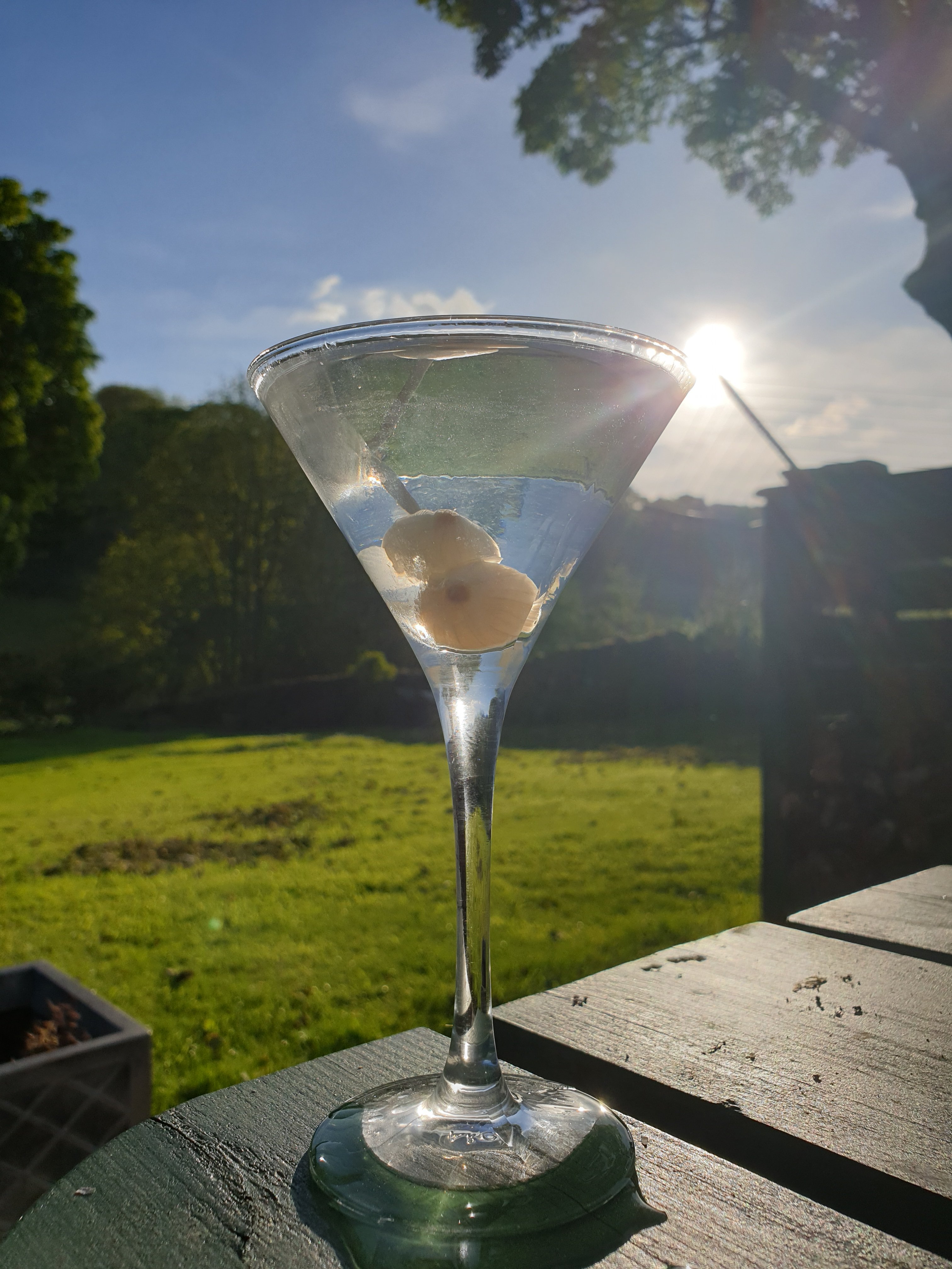 The Gibson Martini – The Martini Socialist