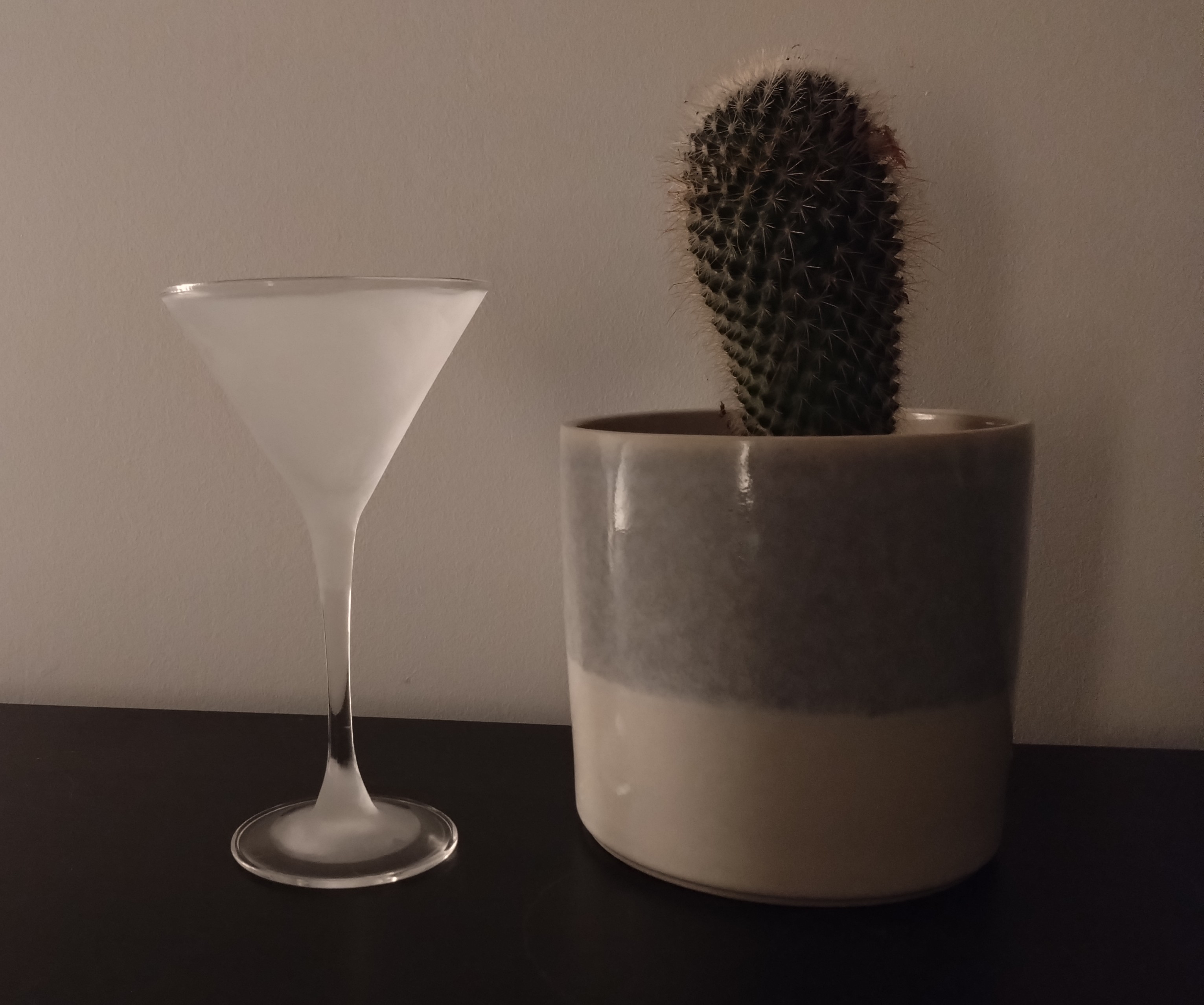 The Bone Dry Martini – The Martini Socialist