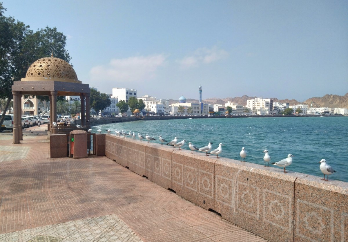 A Martini in Muscat – The Martini Socialist